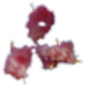 ADC Technology Platform | SKYMAB Biotherapeutics